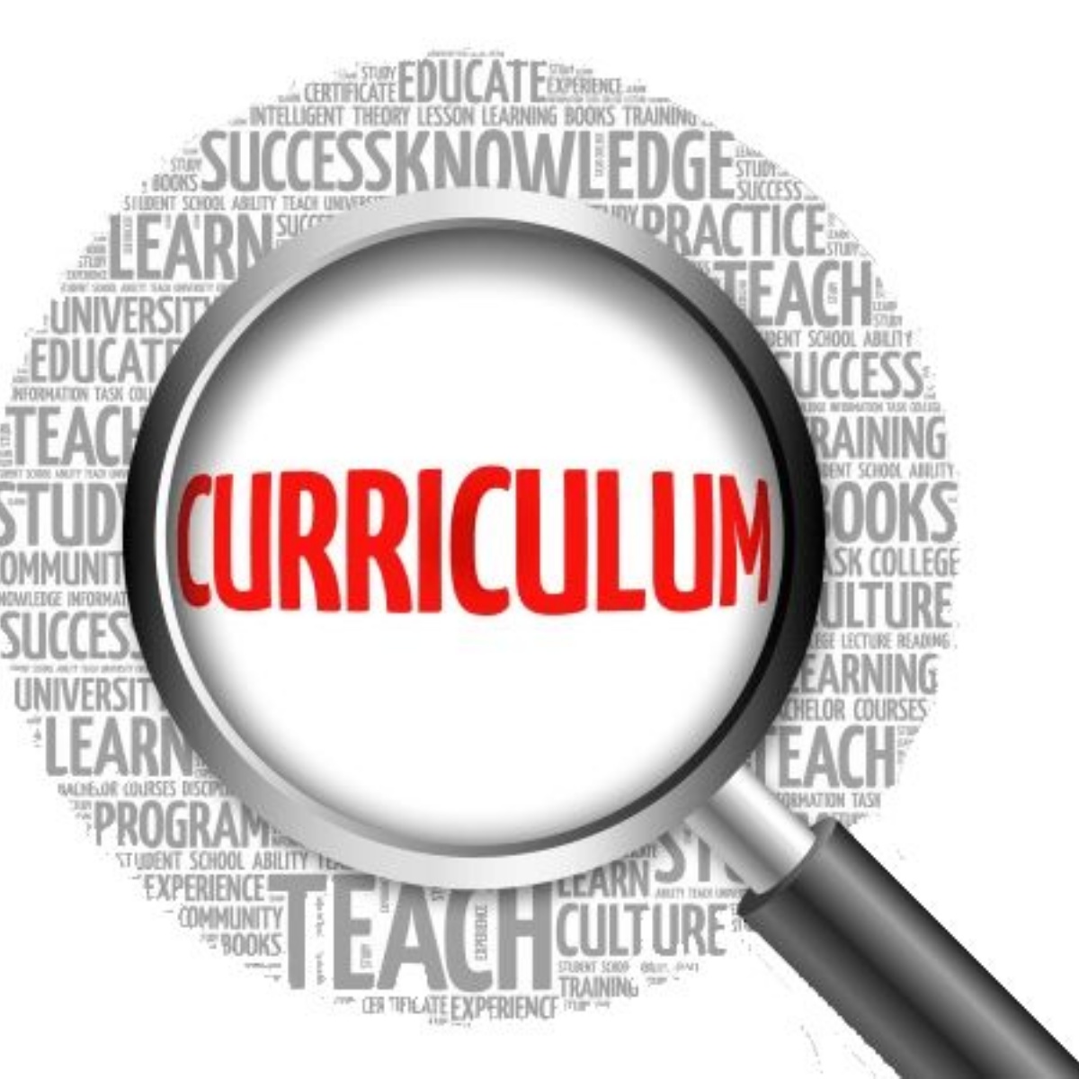 Herne Junior School - Updated Core Curriculum Threads and School ...